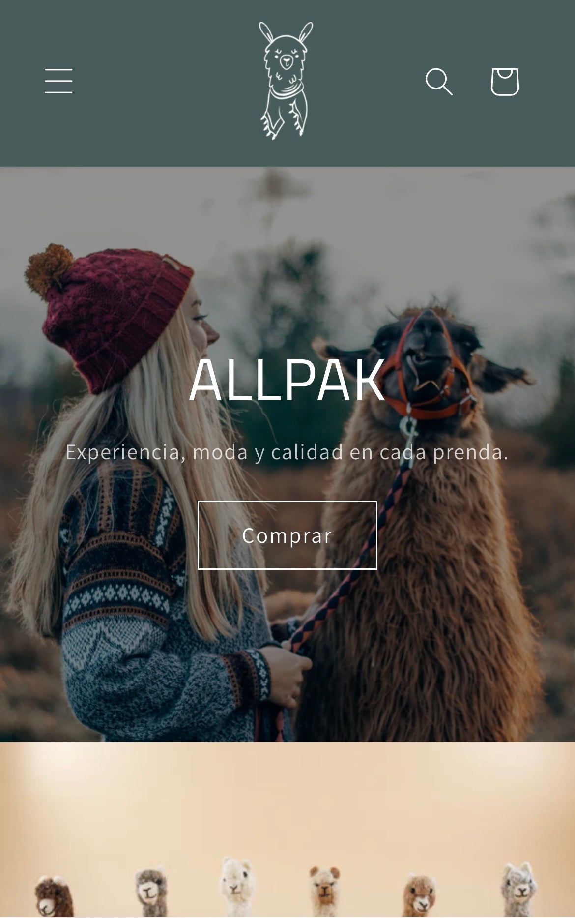 About Us – ALLPAK